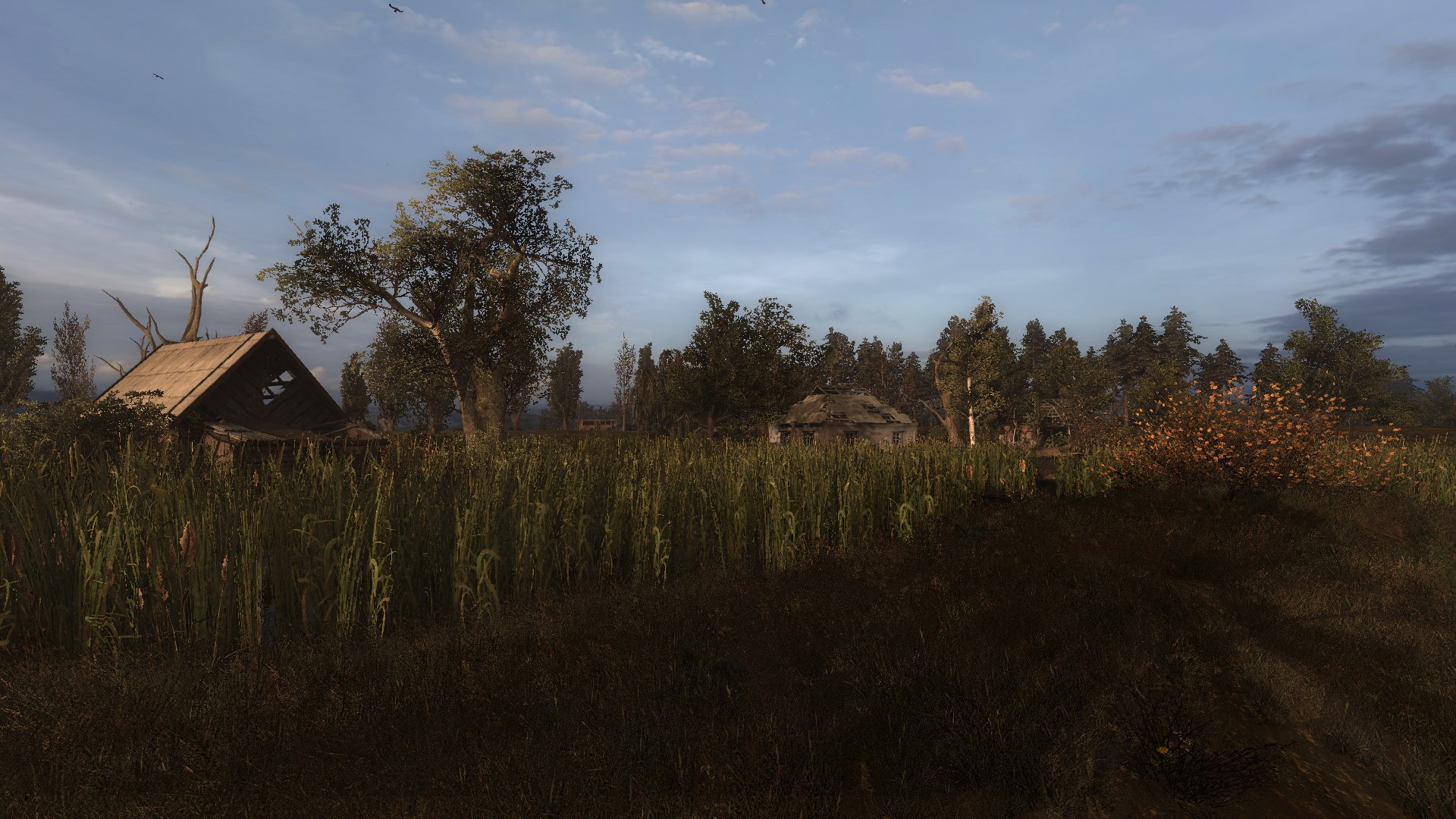 Lost Alpha » Dezowave Group - Official Site